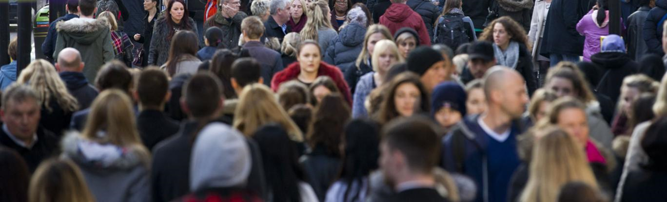 Consumer-jungle-1 - Digital Media & Production